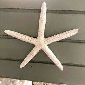 Cyndy’s Beach House | Accents | White Starfish Large Wood Crate Beach ...